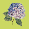 Hydrangea Needlepoint Kit – Needlepoint.Com