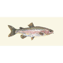 Rainbow Trout Needlepoint Kit | Needlepoint.Com